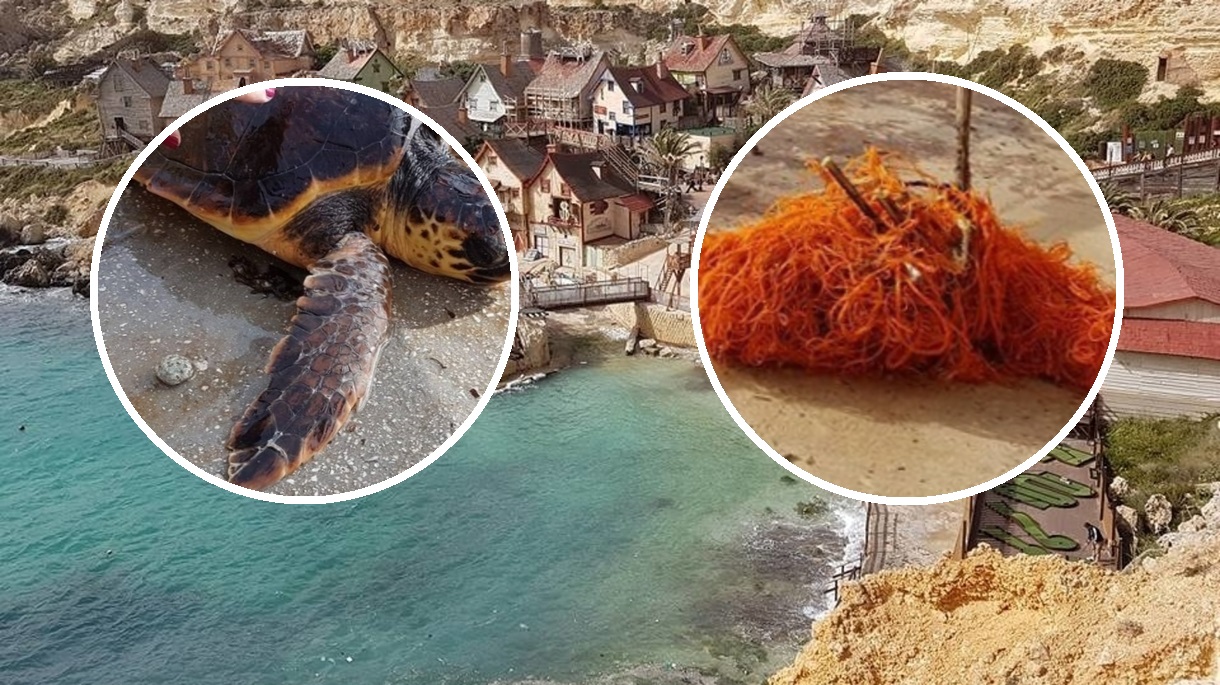 Fekruna salvata mix-xbieki; Isemmuha 'Popeye' - NETnews