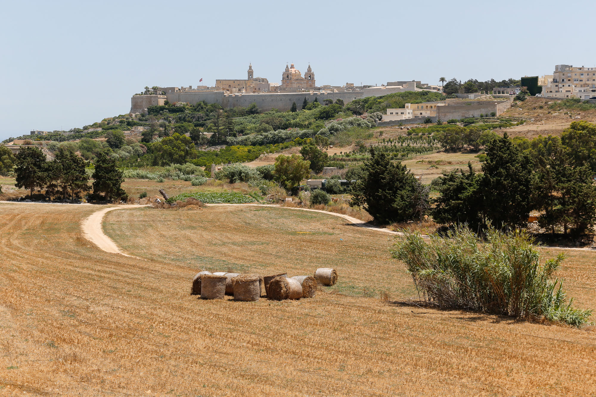 Anke l-FKNK titkellem b'saħħa kontra l-liġi l-ġdida li se tirregola l ...