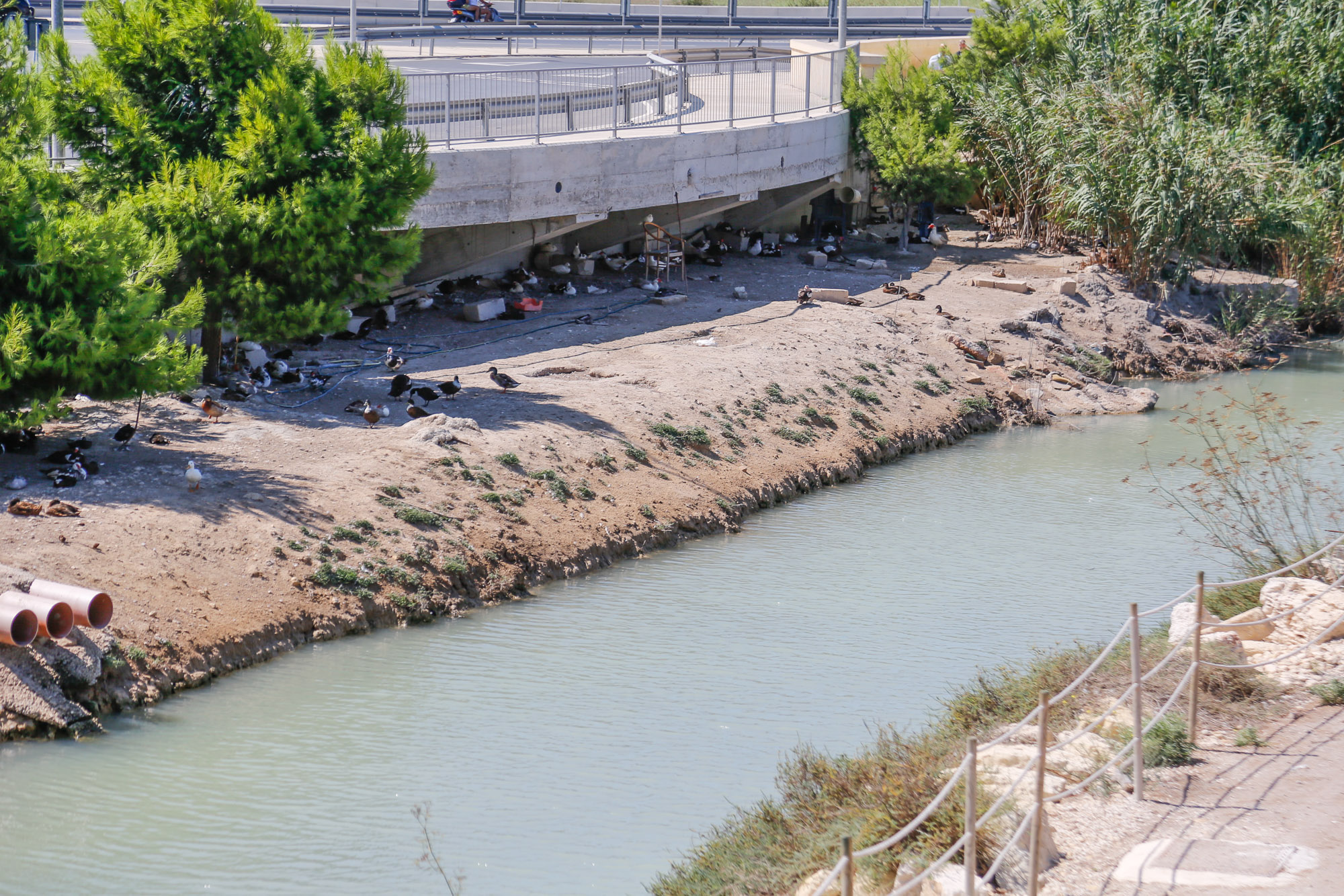 Il-Park tas-Salini f'idejn Birdlife Malta - NETnews