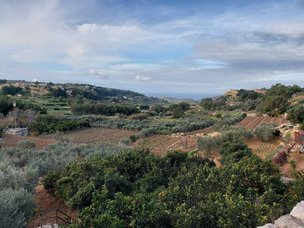 Ir-Ramblers jitolbu l-Gvern biex iwaqqaf ix-xogħolijiet f'Ta' Baldu ...