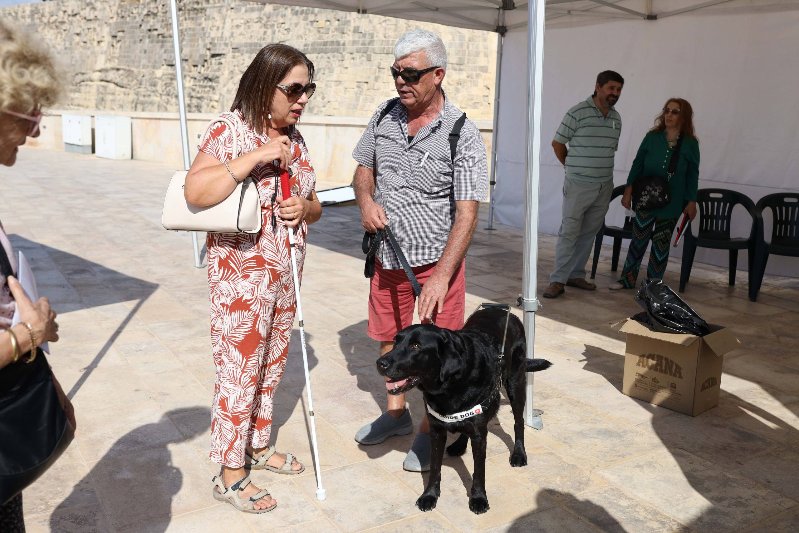 “Il-kelb-gwida huwa essenzjali għal ħajjitna" - NETnews