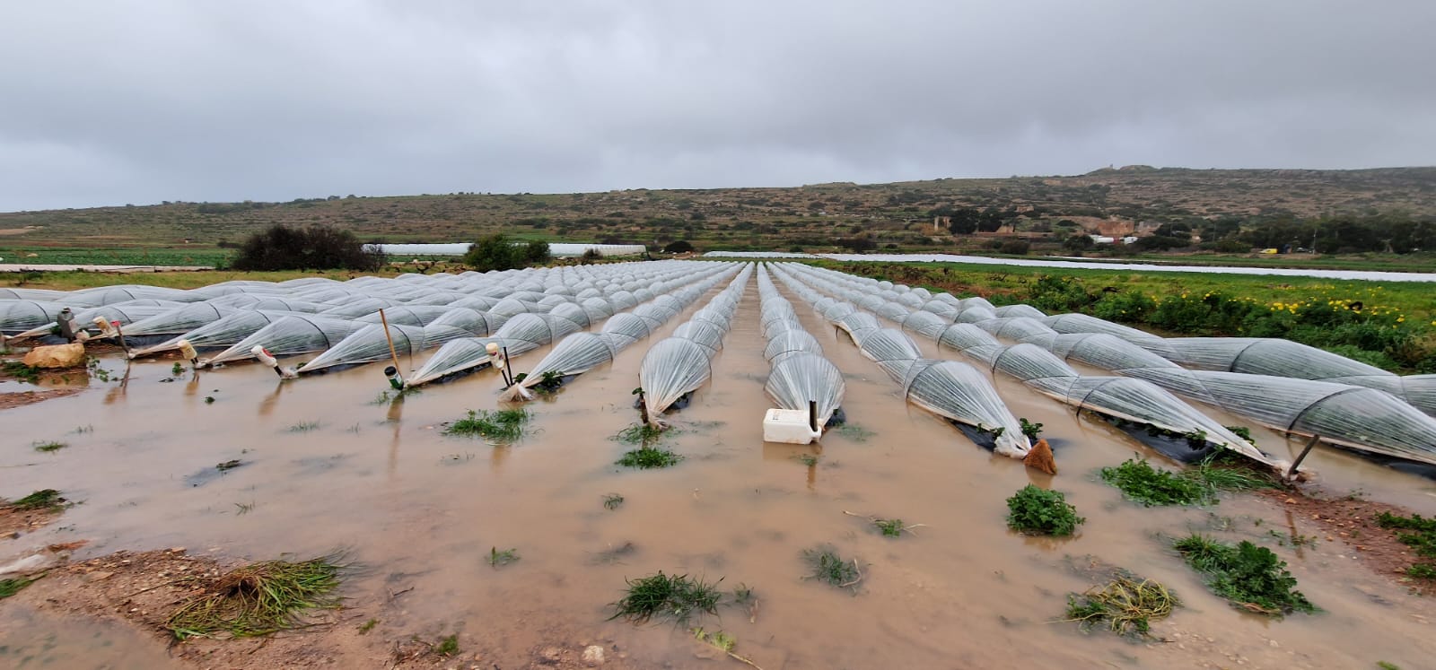 Bdiewa fil-Manikata iġarrbu ħsarat minħabba proġett li sar ħażin - NETnews