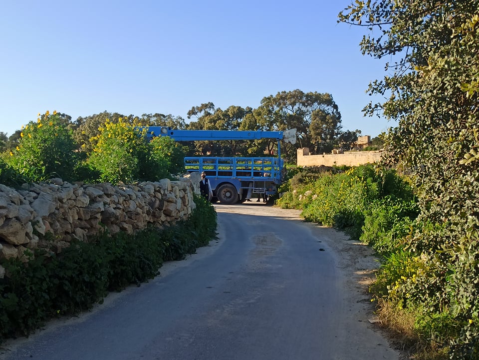 Ħaddiem jgħid li xufier għajjat "ilqattu, ilqattu" - il-każ ta' anzjan ...