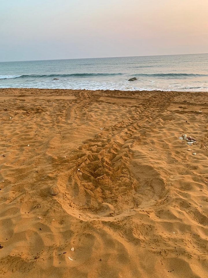 Fekruna tbejjet fil-Bajja tar-Ramla l-Ħamra - NETnews