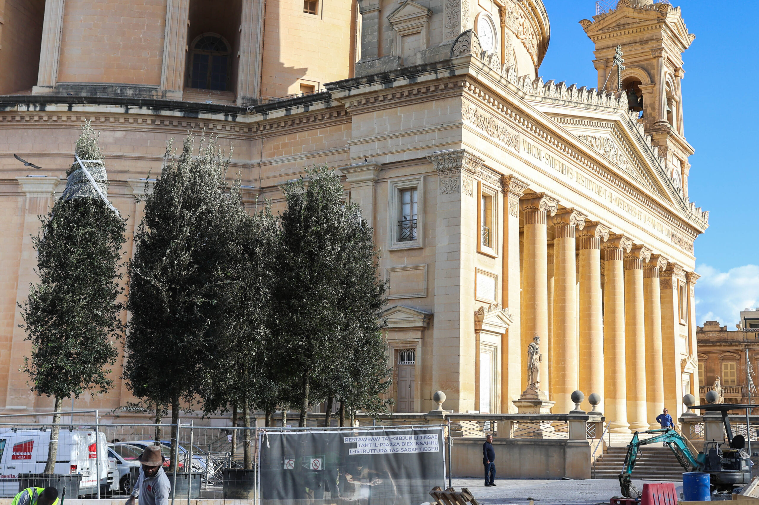 Jitpoġġew 12-il siġra tal-Ballut b'mod temporanju fil-Pjazza tal-Mosta ...