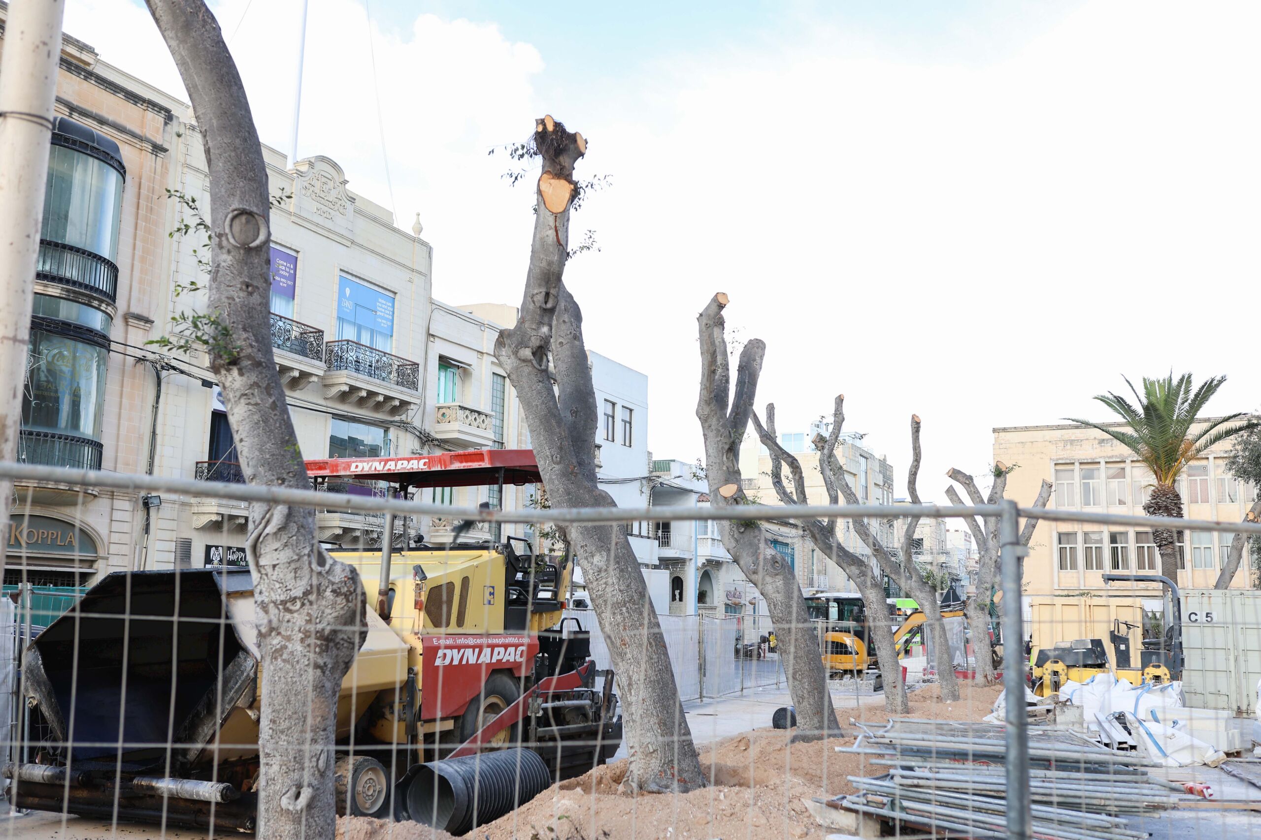 Il-pubbliku jinżamm fl-għama dwar l-ivvalenar tas-siġar tal-Mosta - NETnews