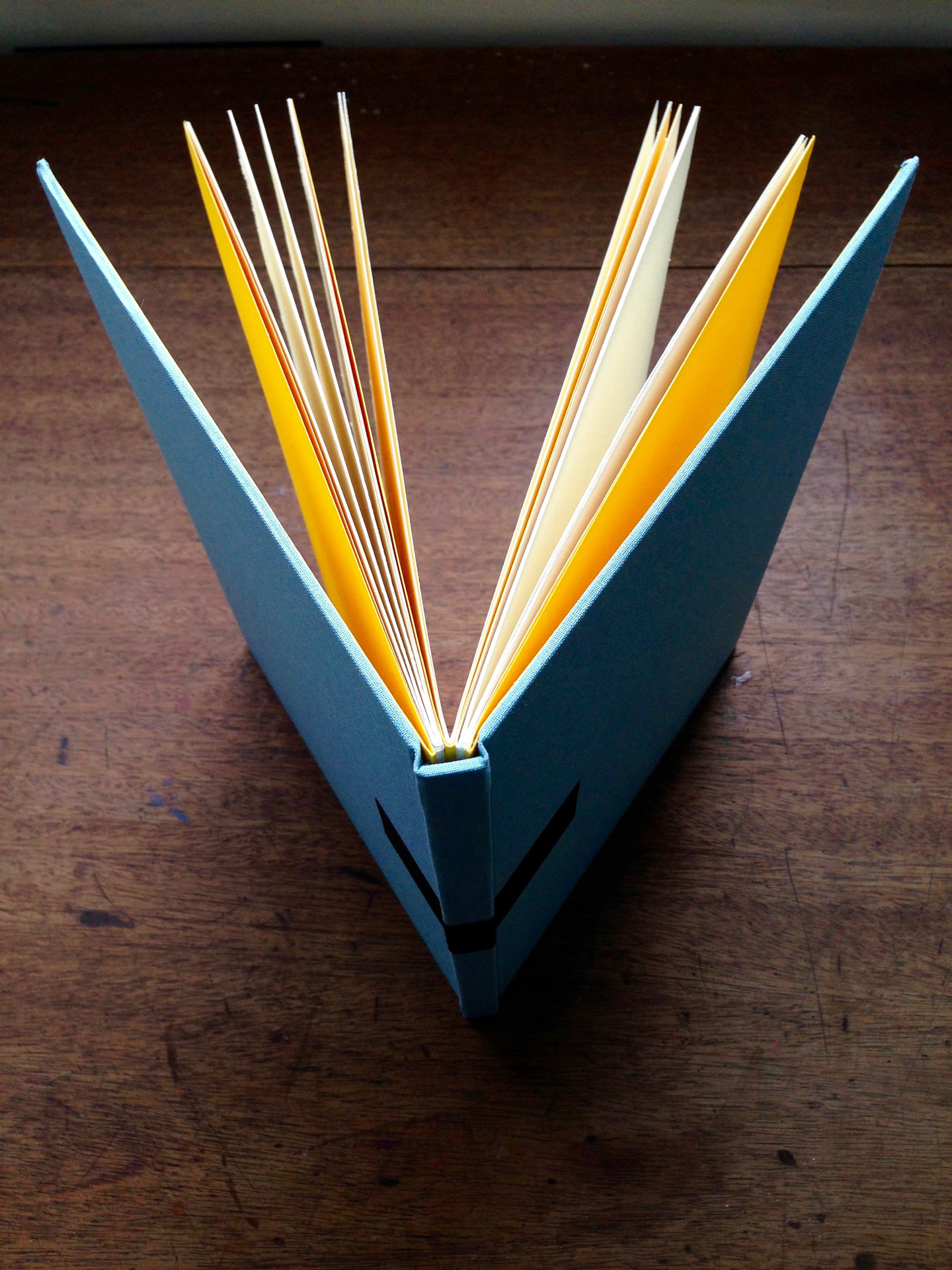 Il-kittieba Maltin bla fondi biex jiktbu u jippubblikaw; issa deskritti ...