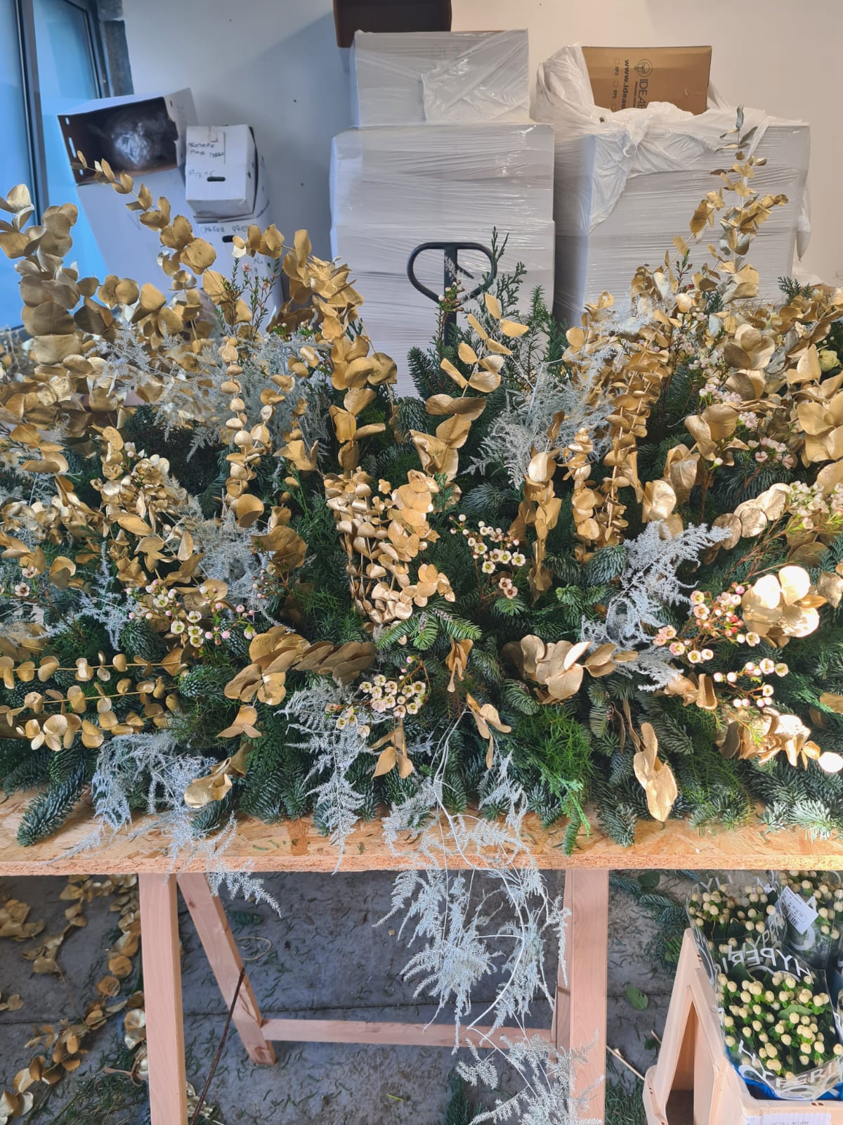 Malti qed iħejji l-fjuri fil-Vatikan għall-Milied - NETnews