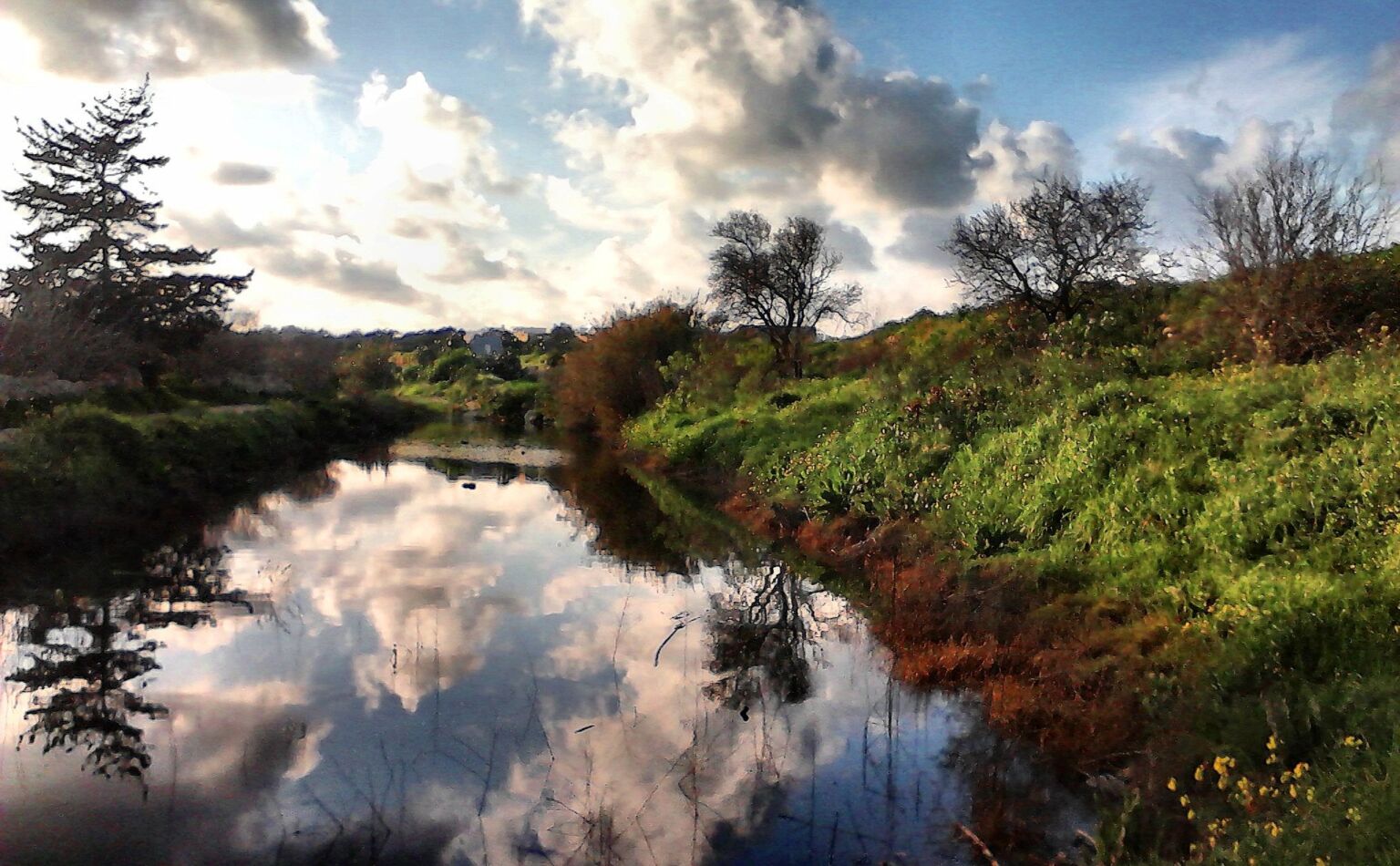 Sentenza sospiża wara li ta n-nar lil numru ta' għelieqi - NETnews