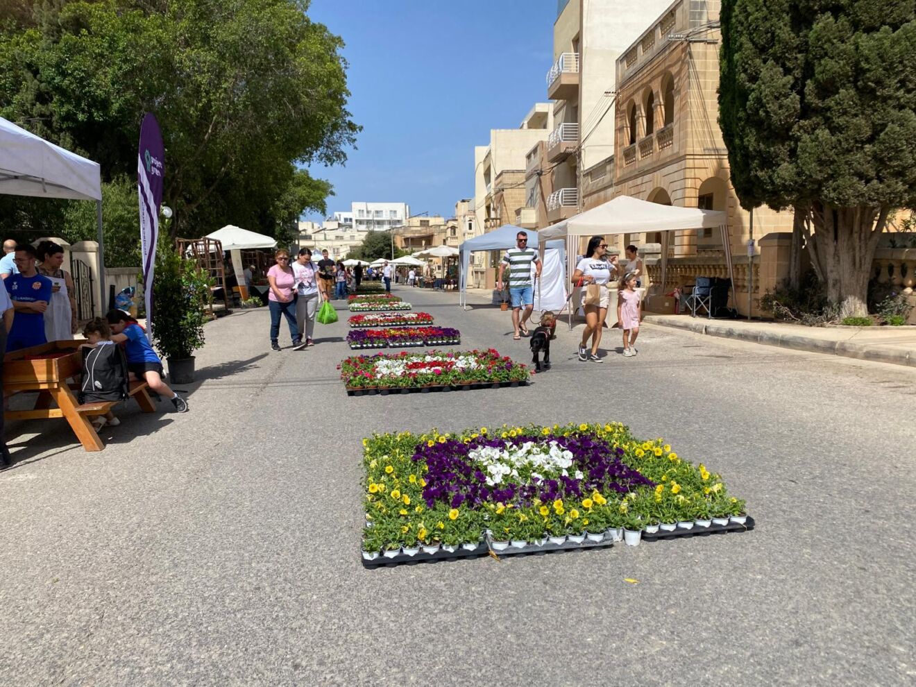 Organizzata l-attività ‘Festa Fjuri’ fl-Iklin - NETnews