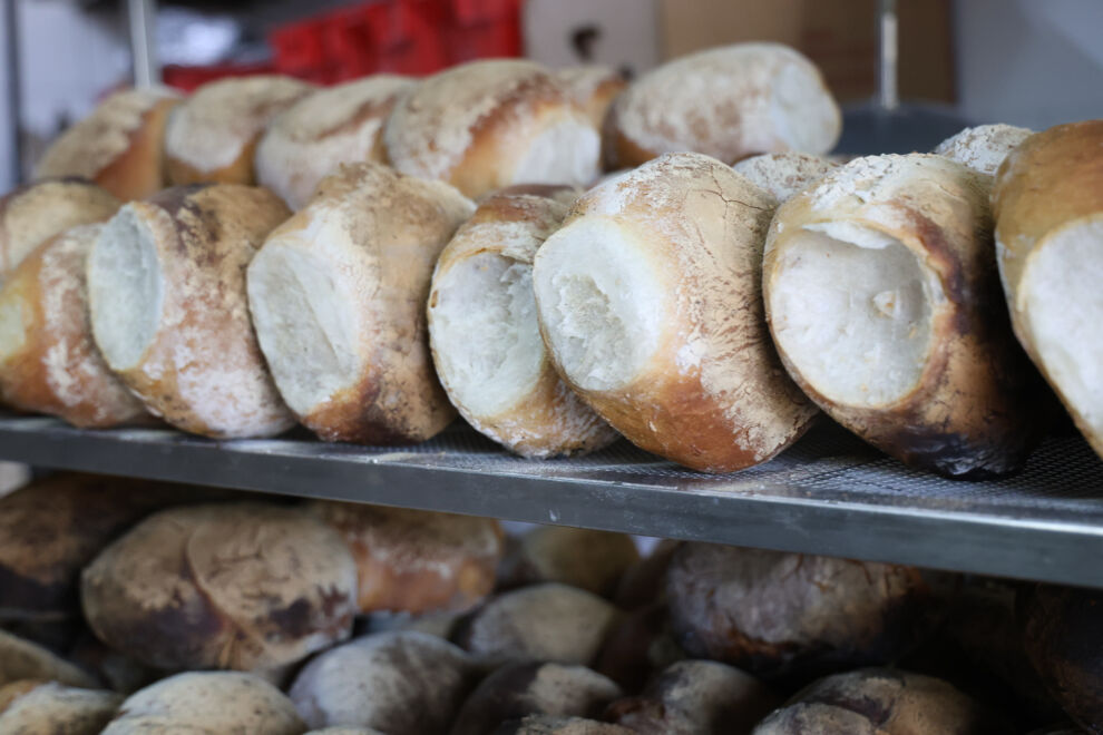 "Il-Partit Nazzjonalista jħaddem politika li tindirizza lis-setturi ...