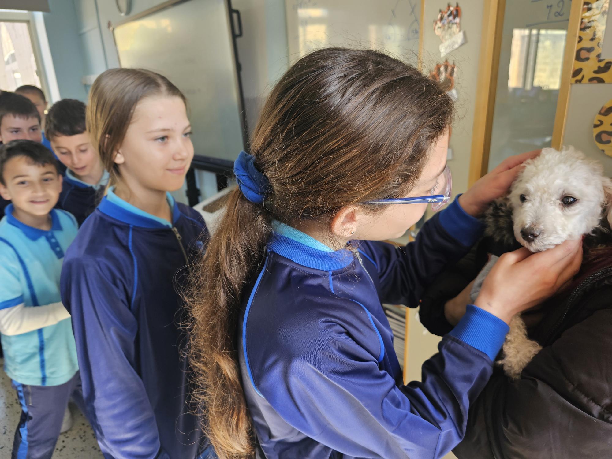 L-iskola primarja ta' Santa Tereża ta' Ħal Lija tiġbor il-flus b'risq l ...