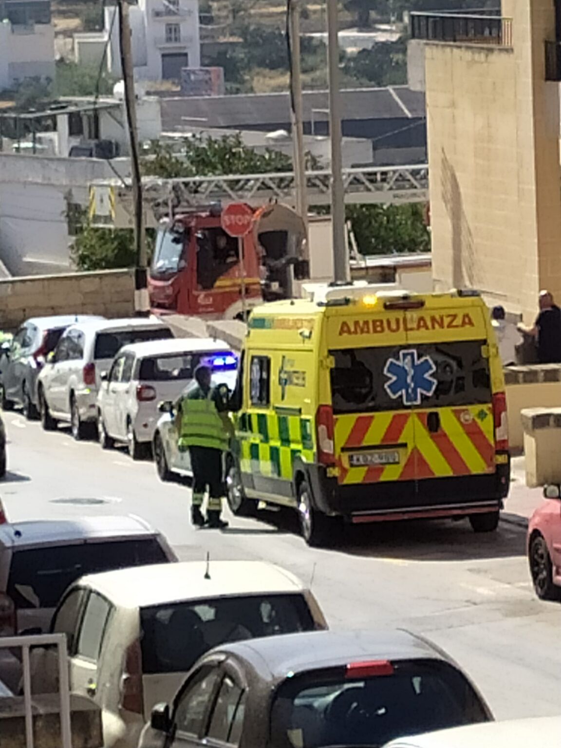 AĠĠORNATA: Il-kelb li attakka raġel jinqatel mill-Pulizija ftit toroq ...