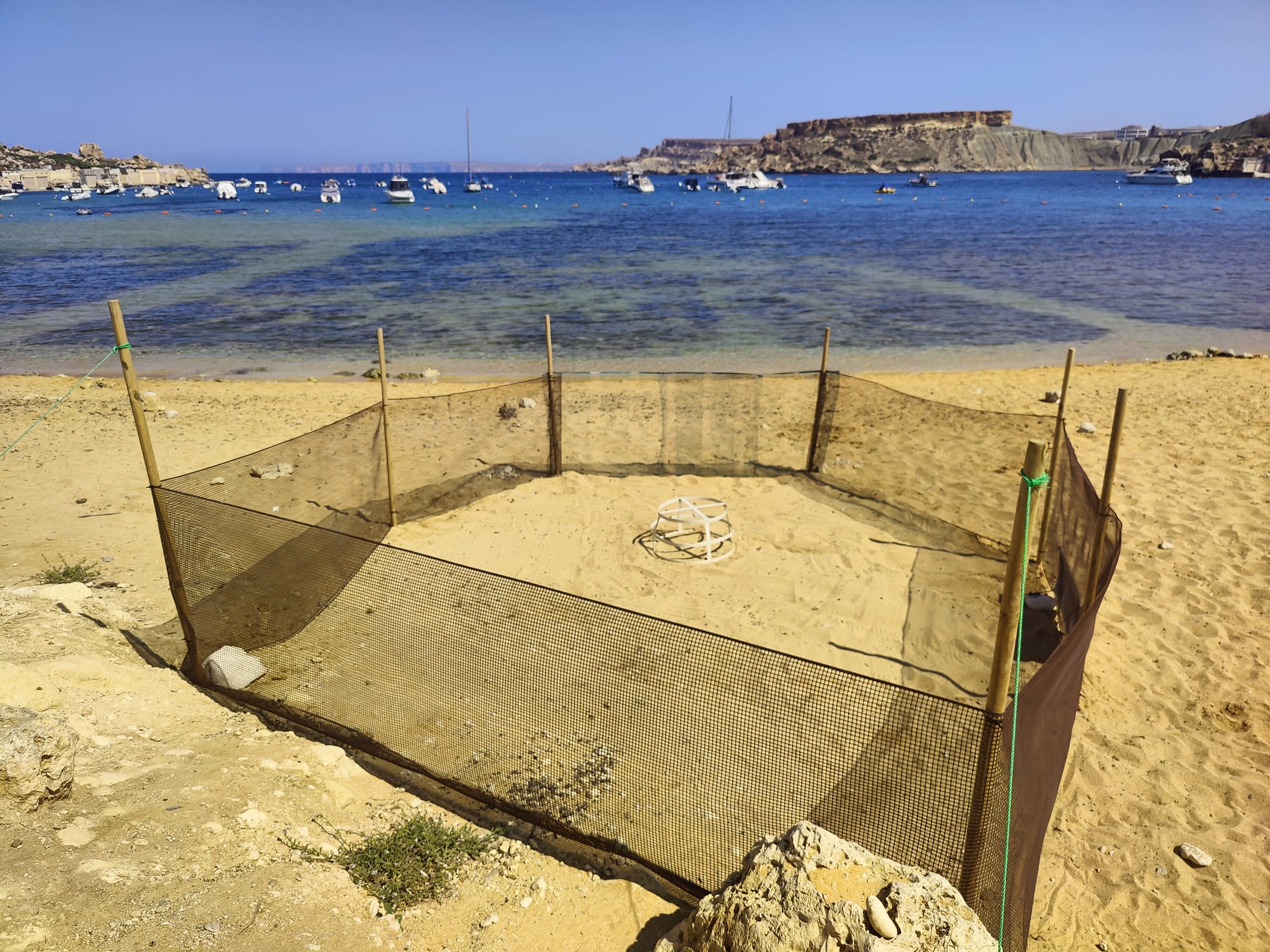 L-ewwel bejta tal-fkieren għal dan l-istaġun - NETnews
