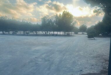 Għal Jason Micallef, dan huwa "ramel fin li sar apposta" - NETnews