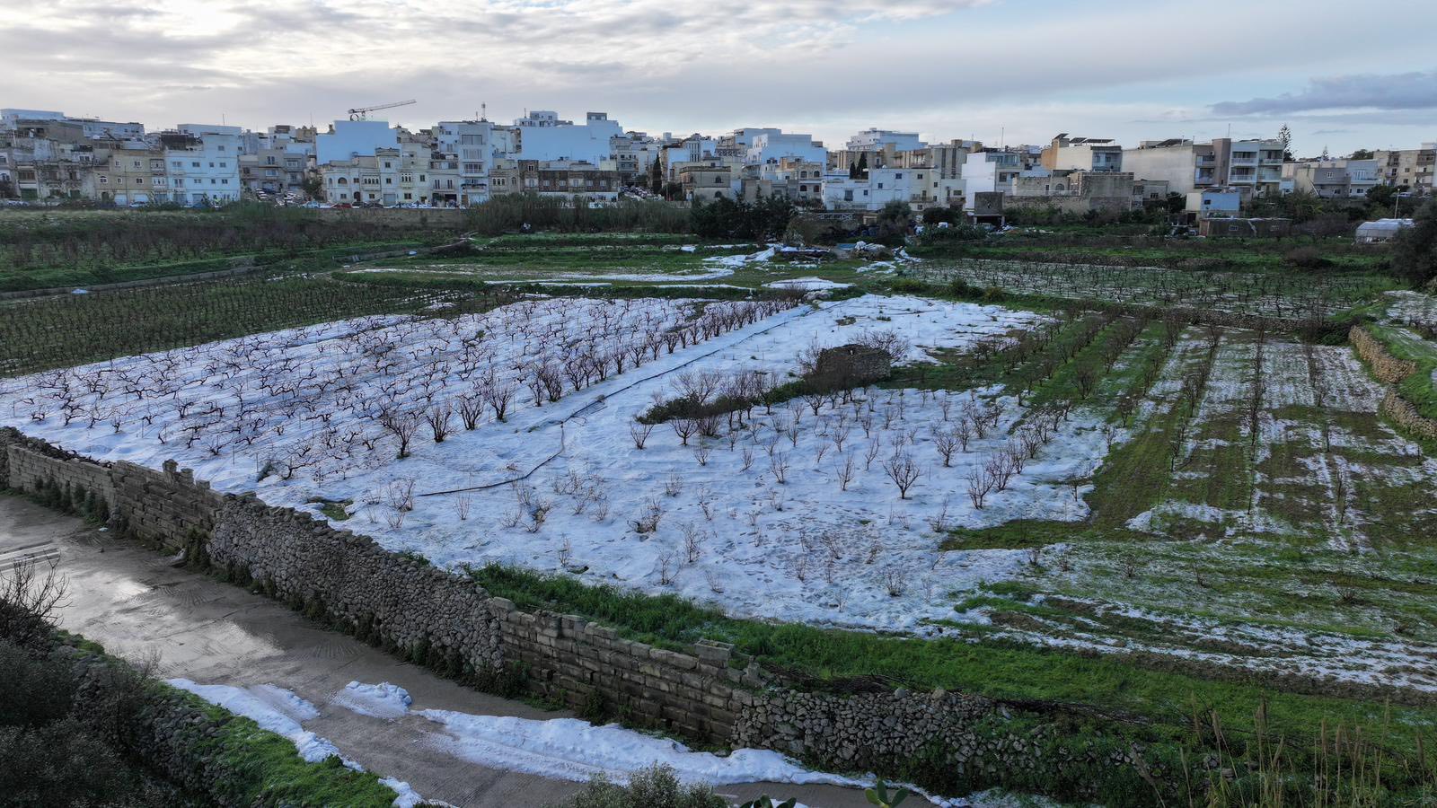 Il-prodotti tal-bdiewa jinqerdu kaġun tal-maltemp li laqat ir-Rabat ...